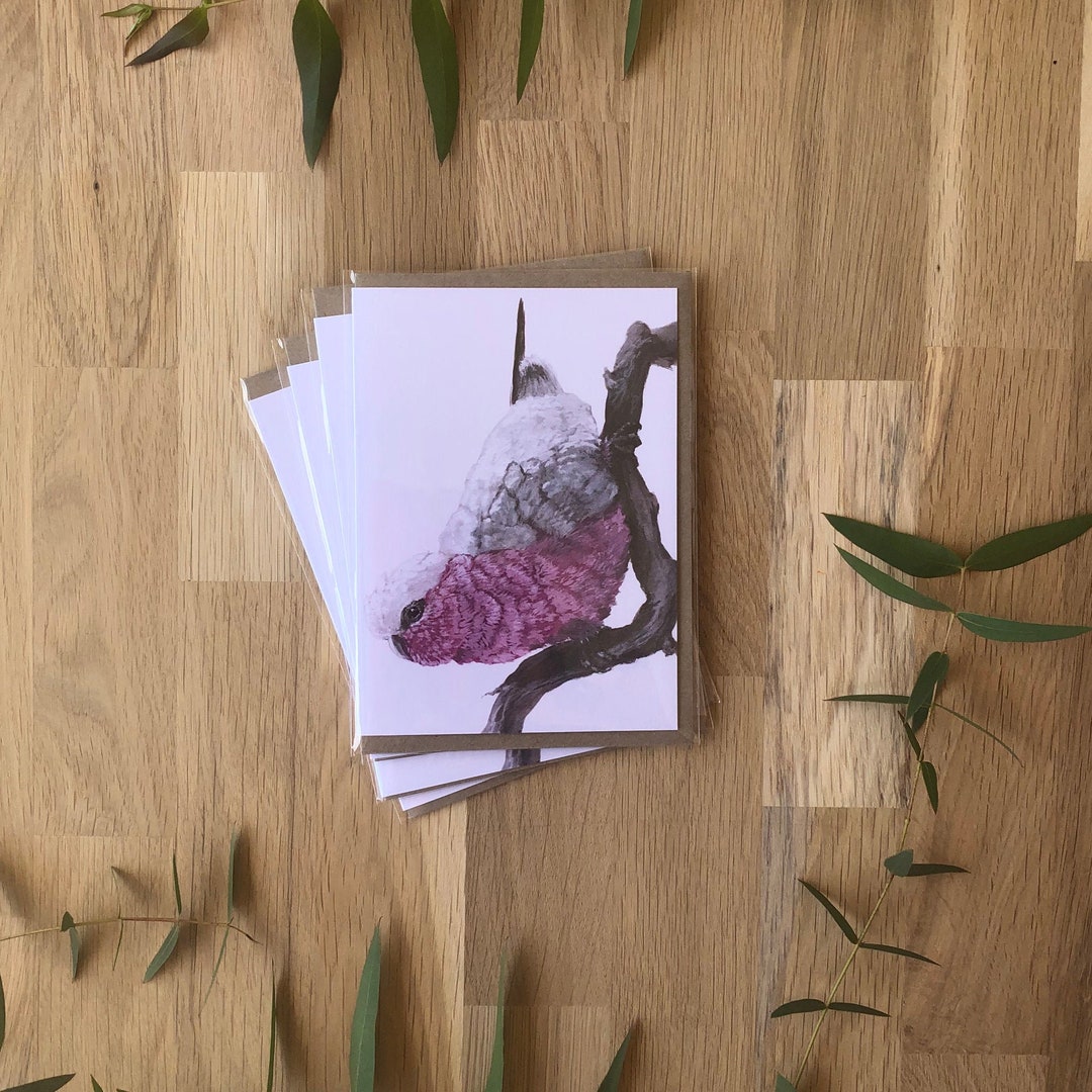 4 X Galah Card Cheeky Galah Greeting Cards Illustrated and - Etsy