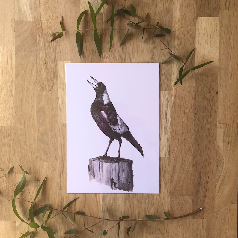 Australian bird A4 art prints Kookaburra Magpie Cockatoo | Etsy