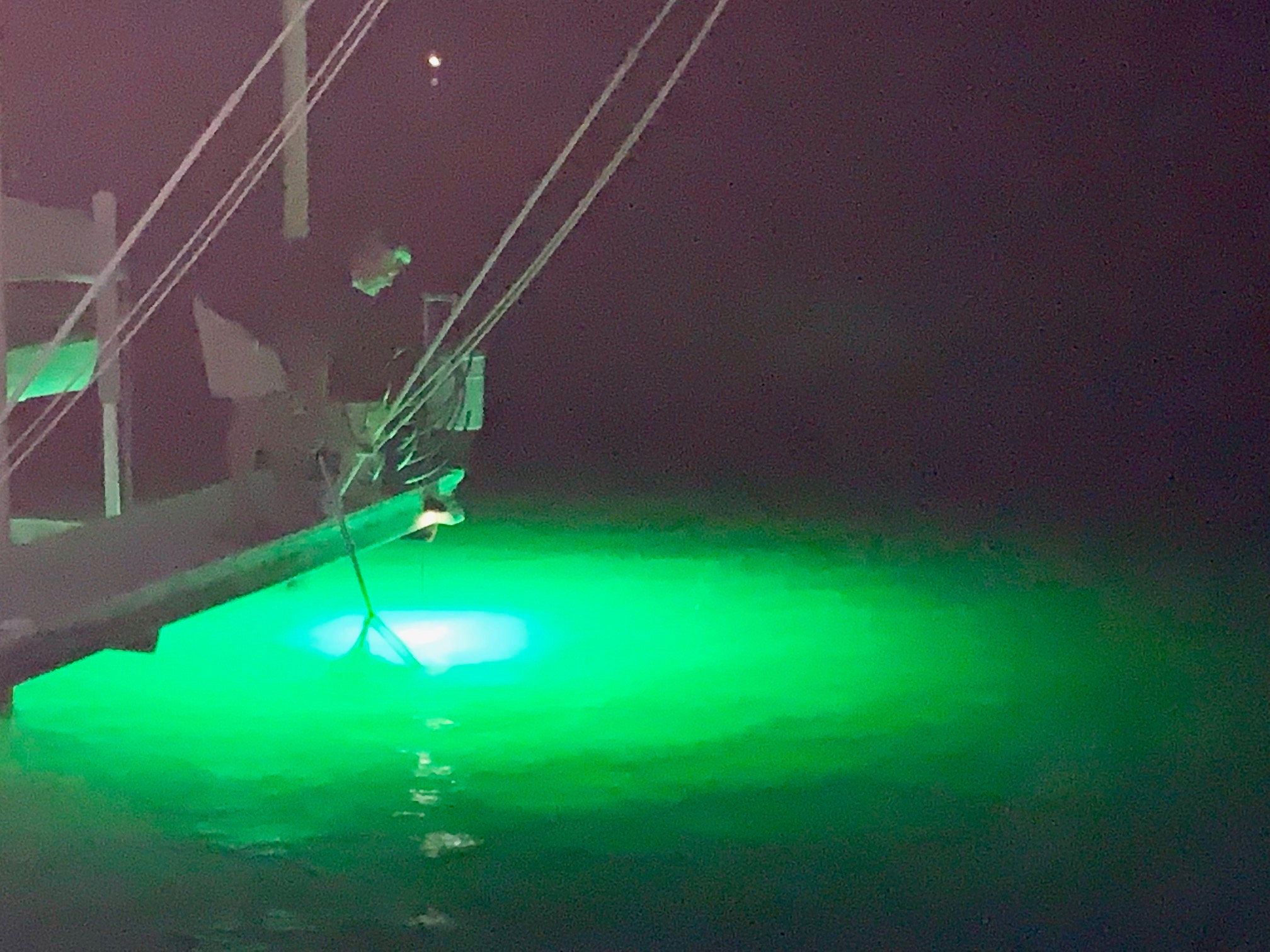 Green Blob Outdoors Underwater Fishing Light Attractor for - Etsy