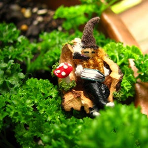 Miniature Sleeping Gnome-nutshell Miniatures-gnomes-nutshells ...