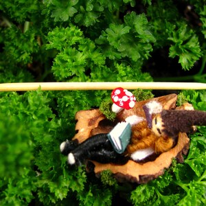 Miniature Sleeping Gnome-nutshell Miniatures-gnomes-nutshells ...