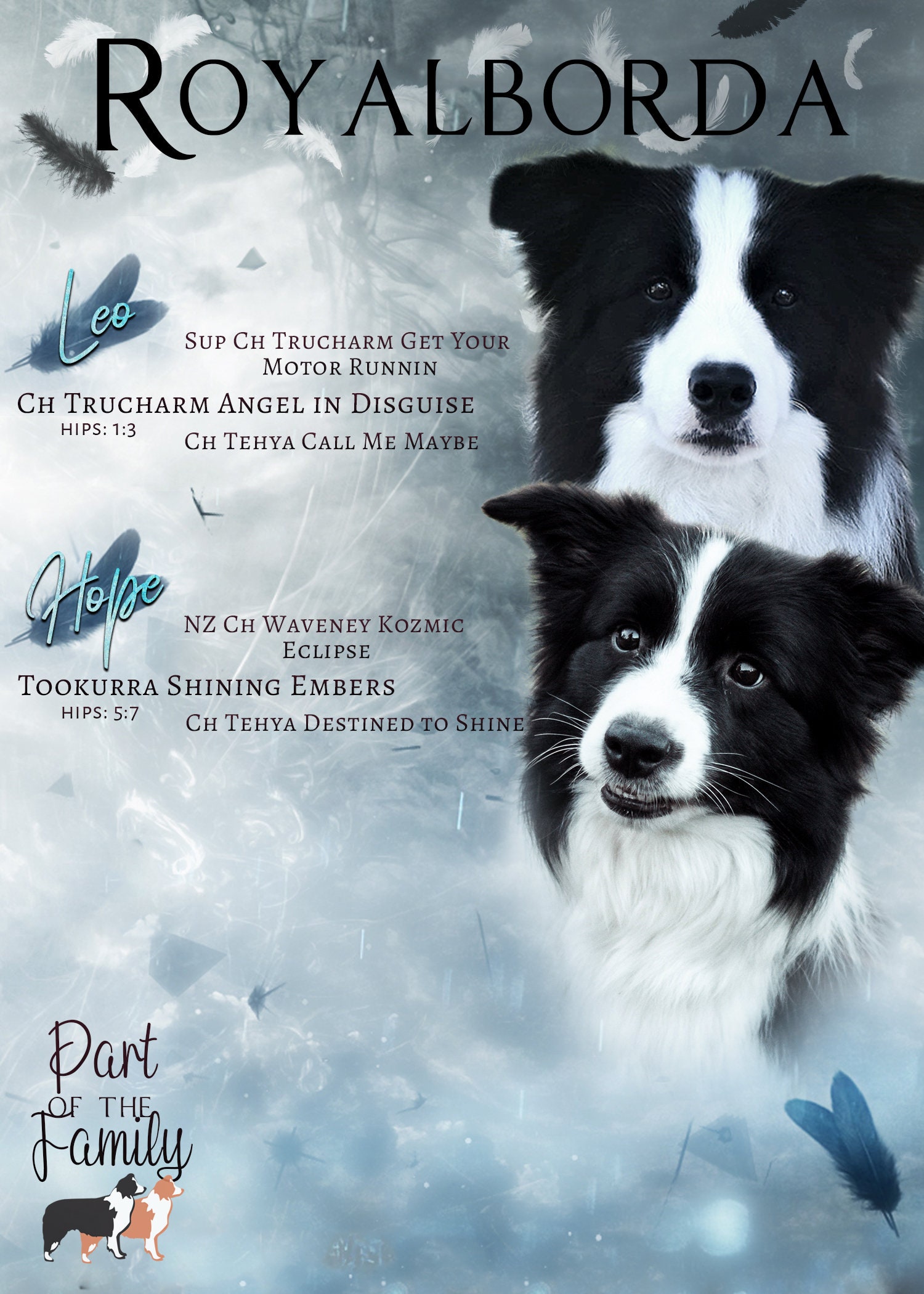 Digital Custom Stud / Litter Advert - Etsy