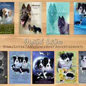 Digital Custom Stud / Litter Advert - Etsy