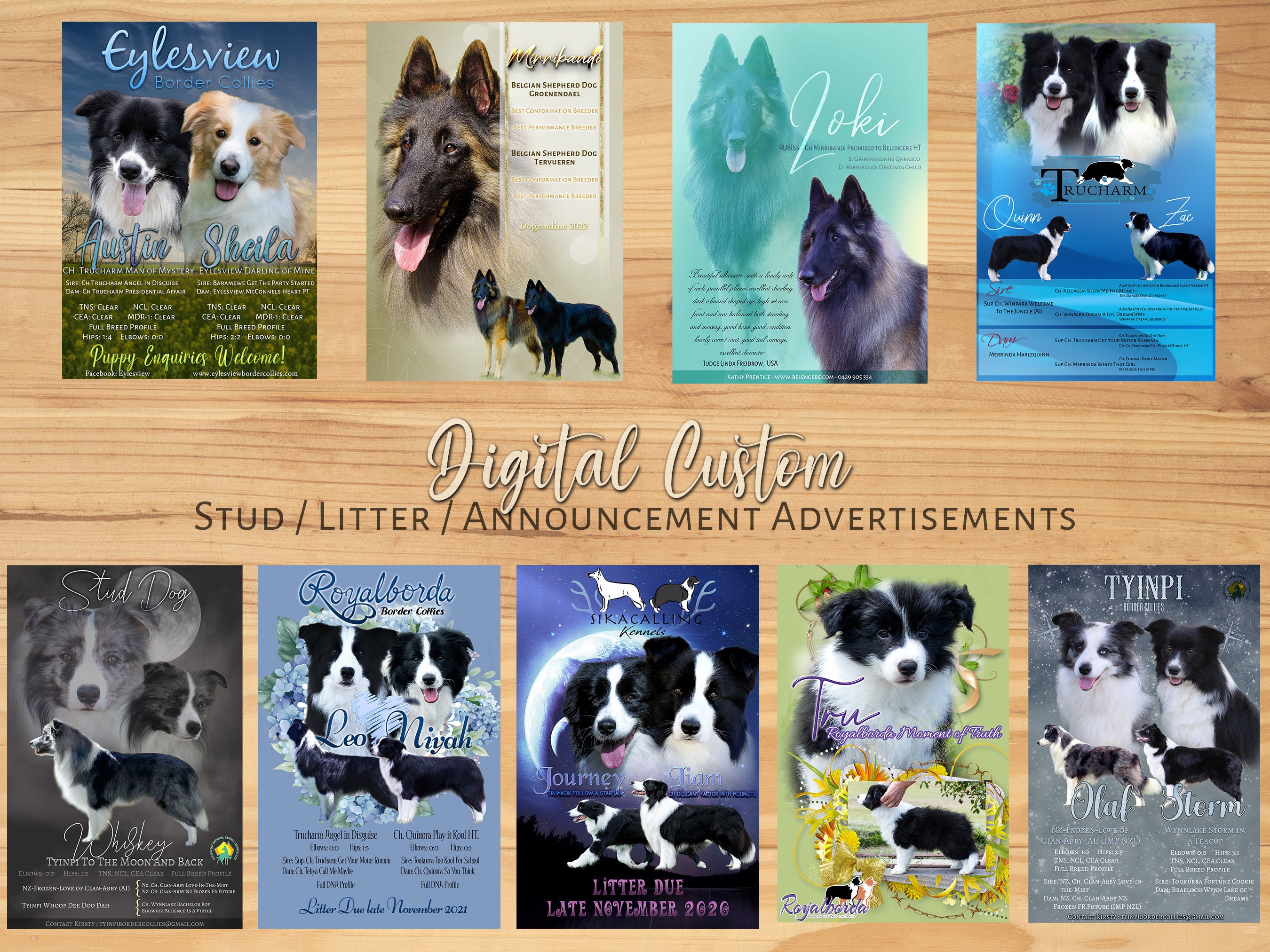 Digital Custom Stud / Litter Advert - Etsy