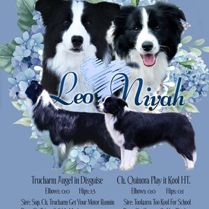 Digital Custom Stud / Litter Advert - Etsy