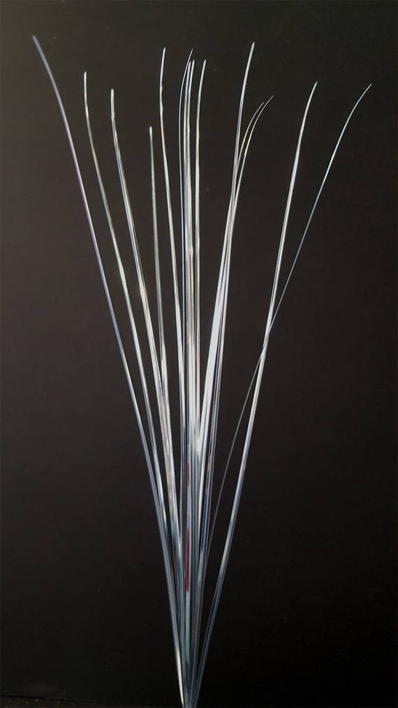 Metallic Onion Grass Spray