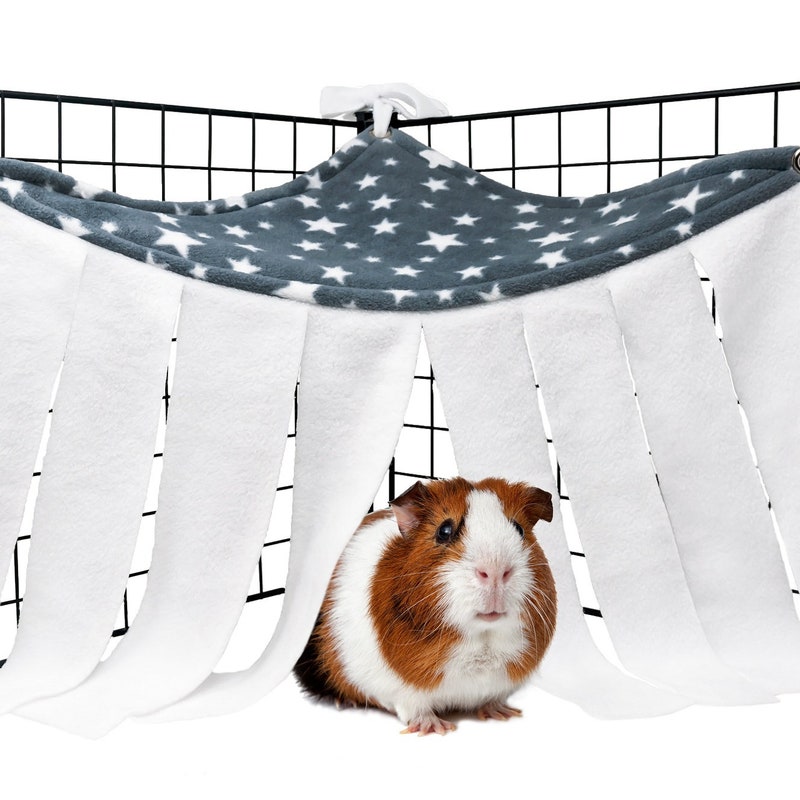 Guinea Pig Forest Corner - Etsy UK