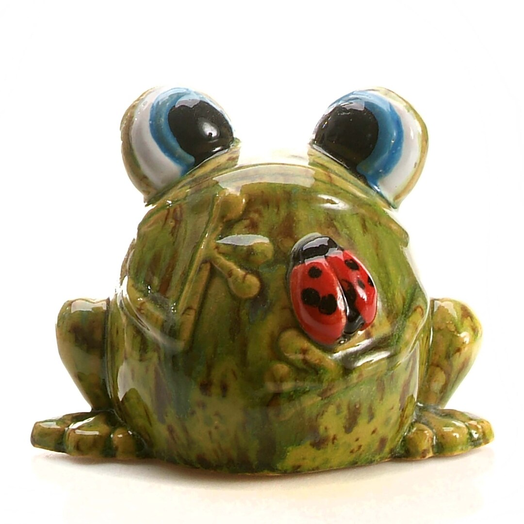 Frog With Lady Bug Ceramic Hand Made Quirky Googly Eyed Frog Ornament ...