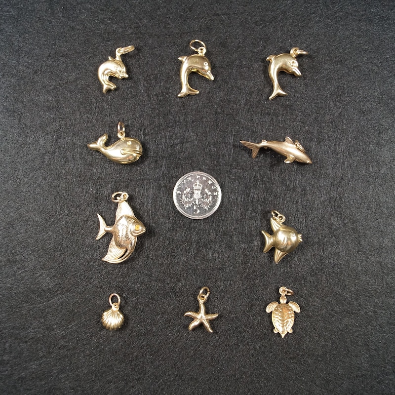 Turtle 9ct - Etsy