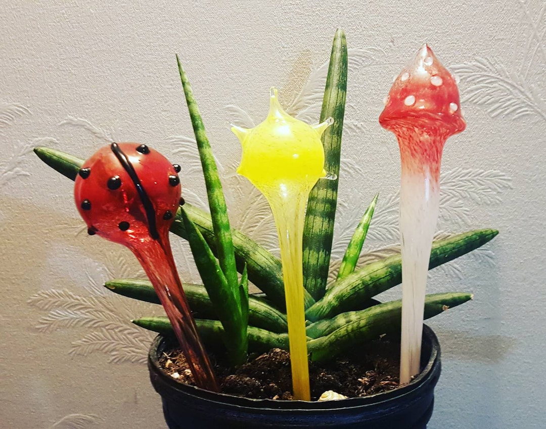 Watering Orbs Bulbs. Glass Plant Orbs. Watering Bulbs. Watering Plants ...