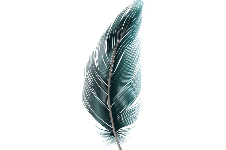 Teal Feather Printable Poster, Minimalist Feather Wall Art, Home Office ...