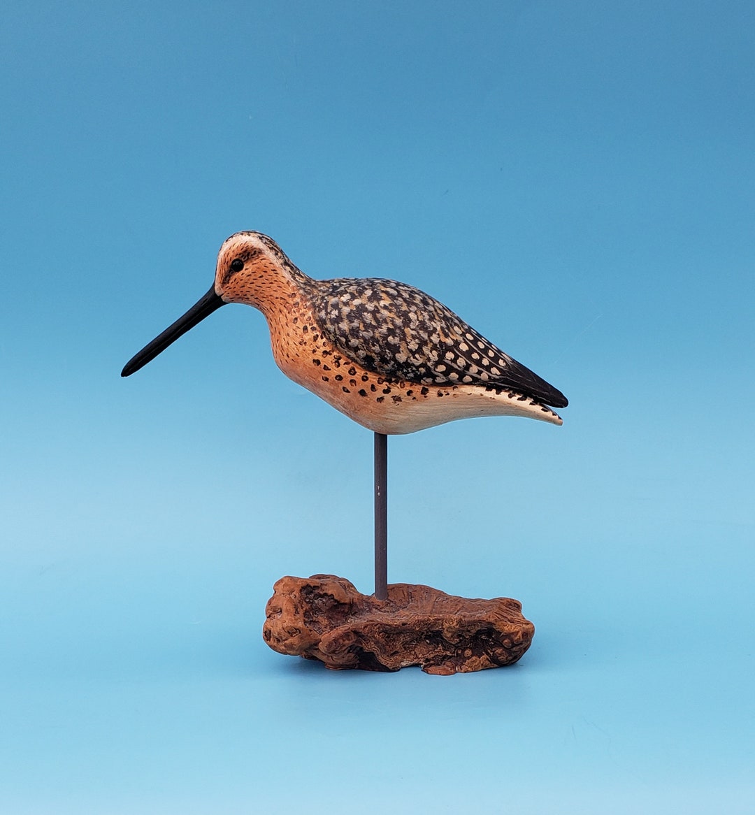 Vintage Dowitcher Decoy Shorebird by Delbert Cigar Daisey From ...