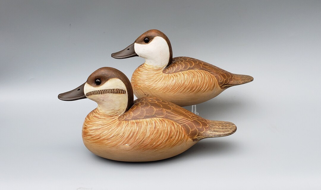 Vintage Ruddy Duck Decoy Pair by Delbert Cigar Daisey From Chincoteague ...