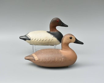 Canvasback Duck - Etsy