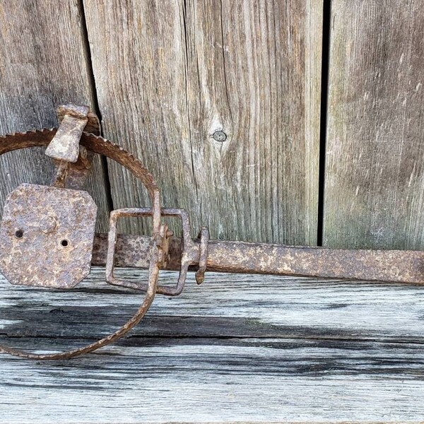 Antique Bear Trap - Etsy