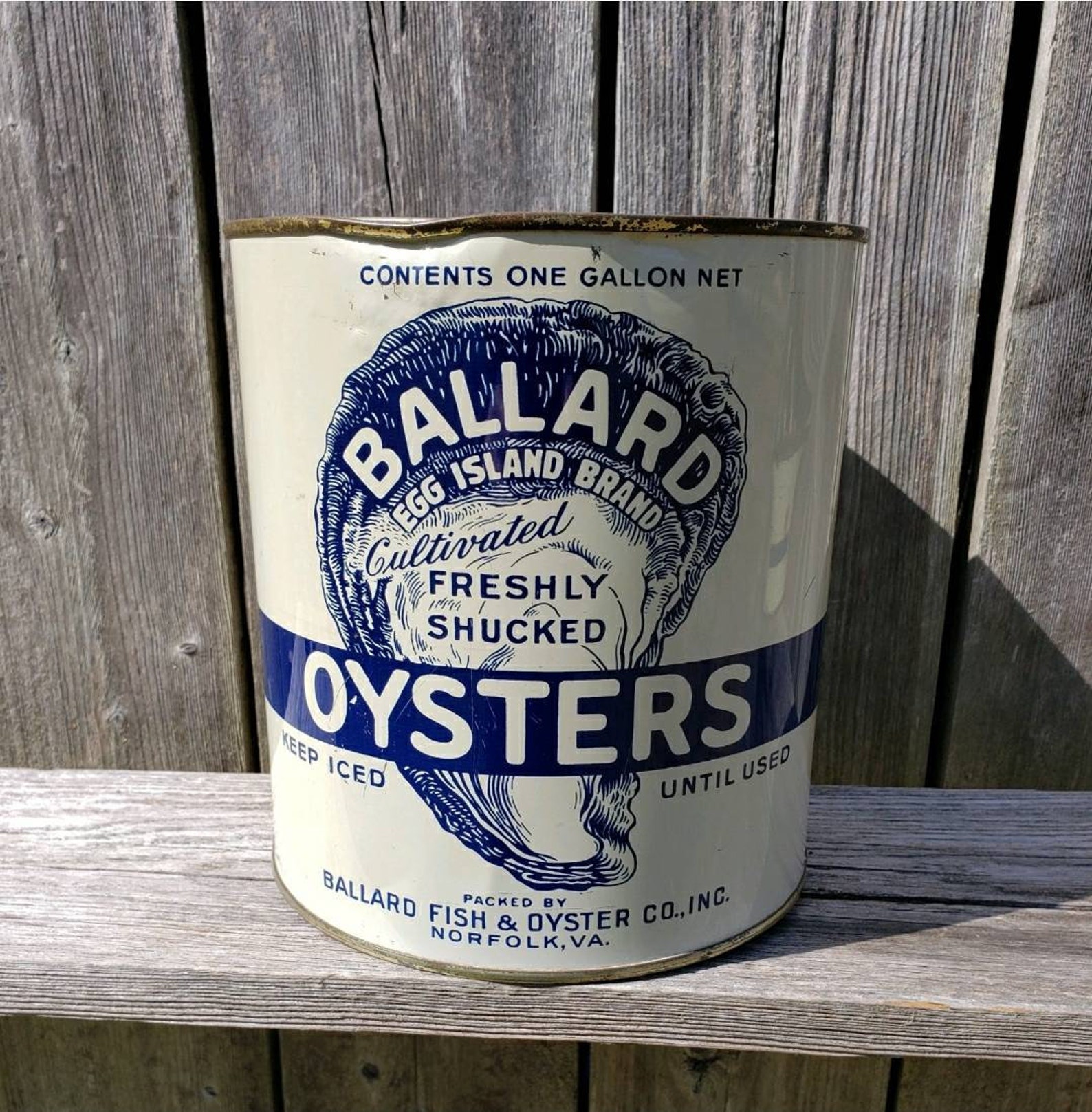 Oyster Tin Ballard Egg Island Cultivated Brand Gallon Can From Norfolk ...