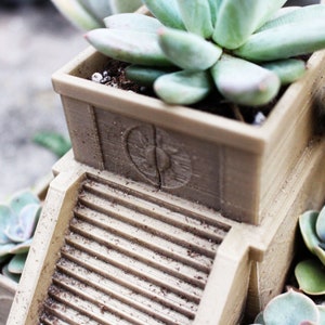 Aztec Pyramid Planter for Growing Succulents, Propagation Tray ...