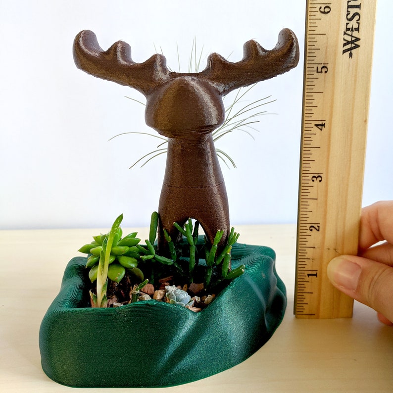 Moose Air Plant Holder and Succulent Planter, Cute Moose, Animal ...