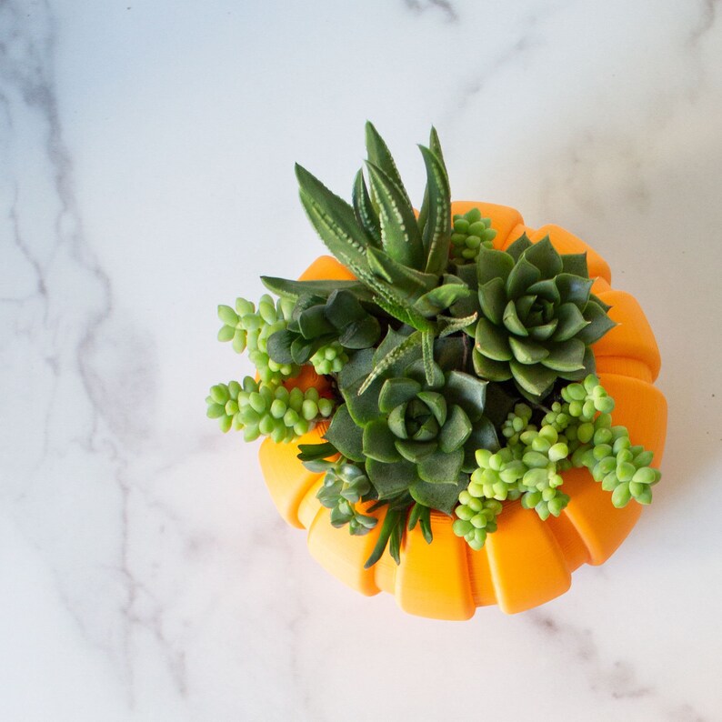 LARGE Succulent Pumpkin Planter, Fall Succulent Planter, Autumn Pumpkin ...