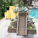 Aztec Pyramid Planter for Growing Succulents, Propagation Tray, 3D ...