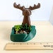 Moose Air Plant Holder and Succulent Planter, Cute Moose, Animal ...
