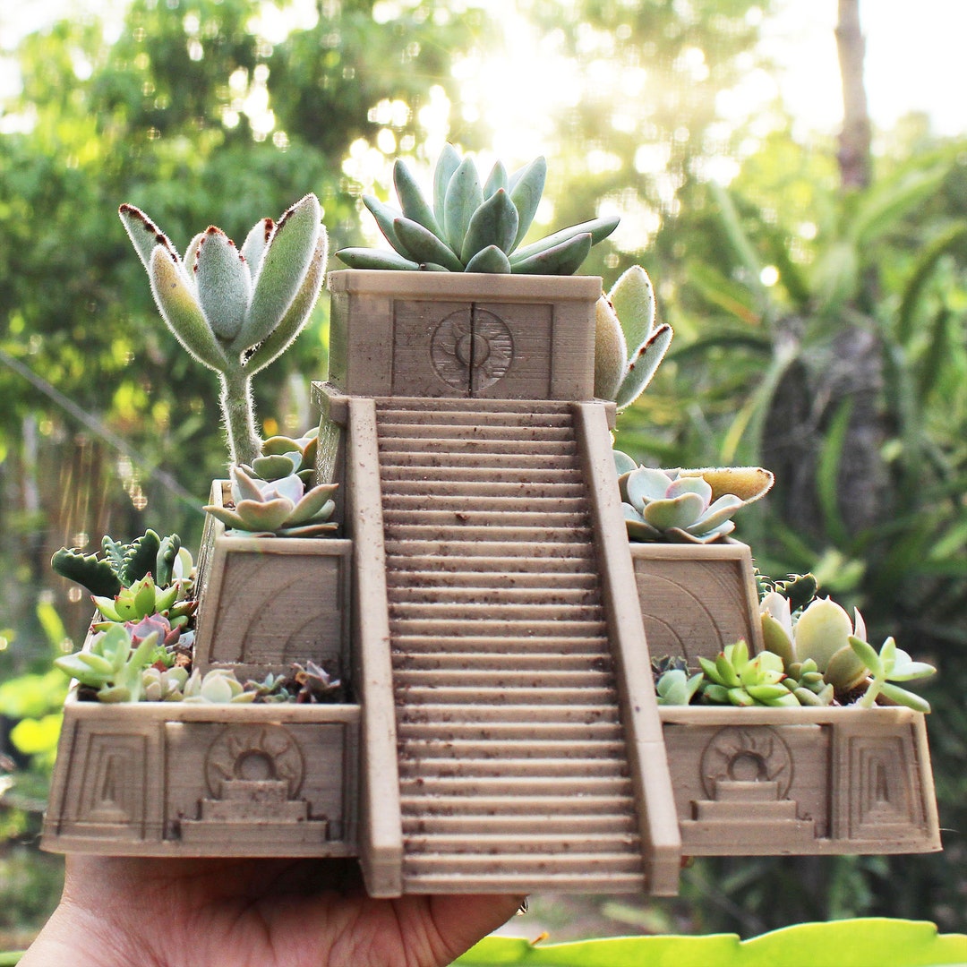 Aztec Pyramid Planter for Growing Succulents, Propagation Tray ...