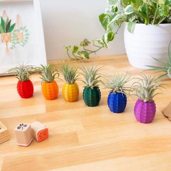 Pineapple Plant Pot - Etsy