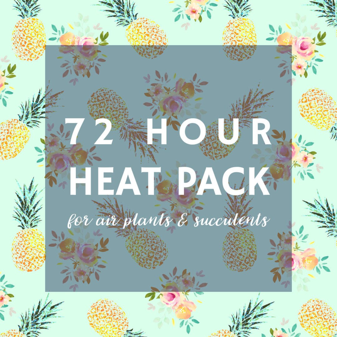 72 Hour Heat Pack for Shipping Air Plants and Succulents - Winter ...