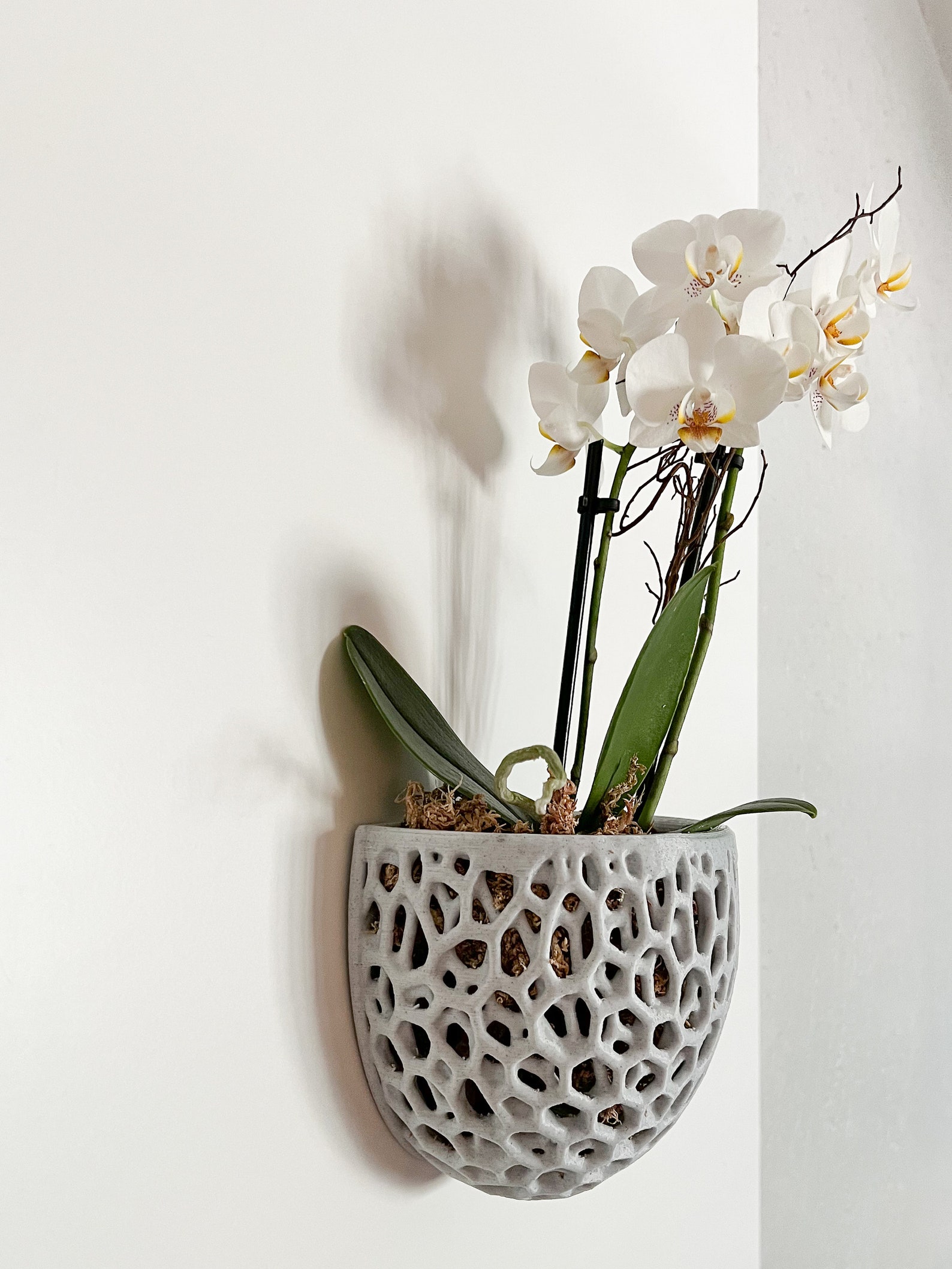 Orchid Wall Planter Hanging Orchid Pot Fence Planter - Etsy