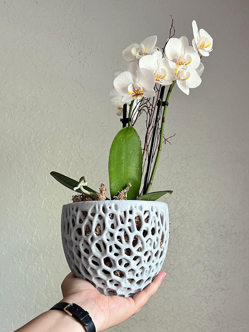 Orchid Wall Planter Hanging Orchid Pot Fence Planter - Etsy