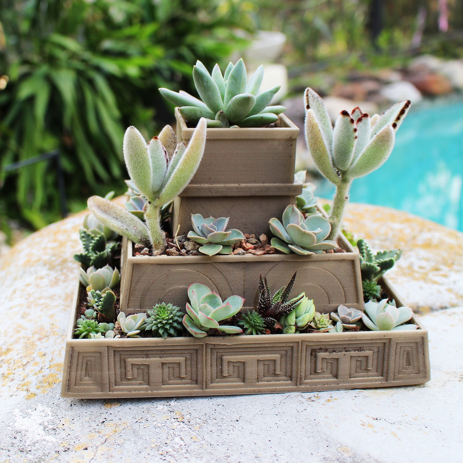 Aztec Pyramid Planter for Growing Succulents Propagation | Etsy