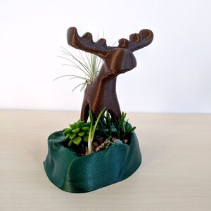 Moose Air Plant Holder and Succulent Planter, Cute Moose, Animal ...