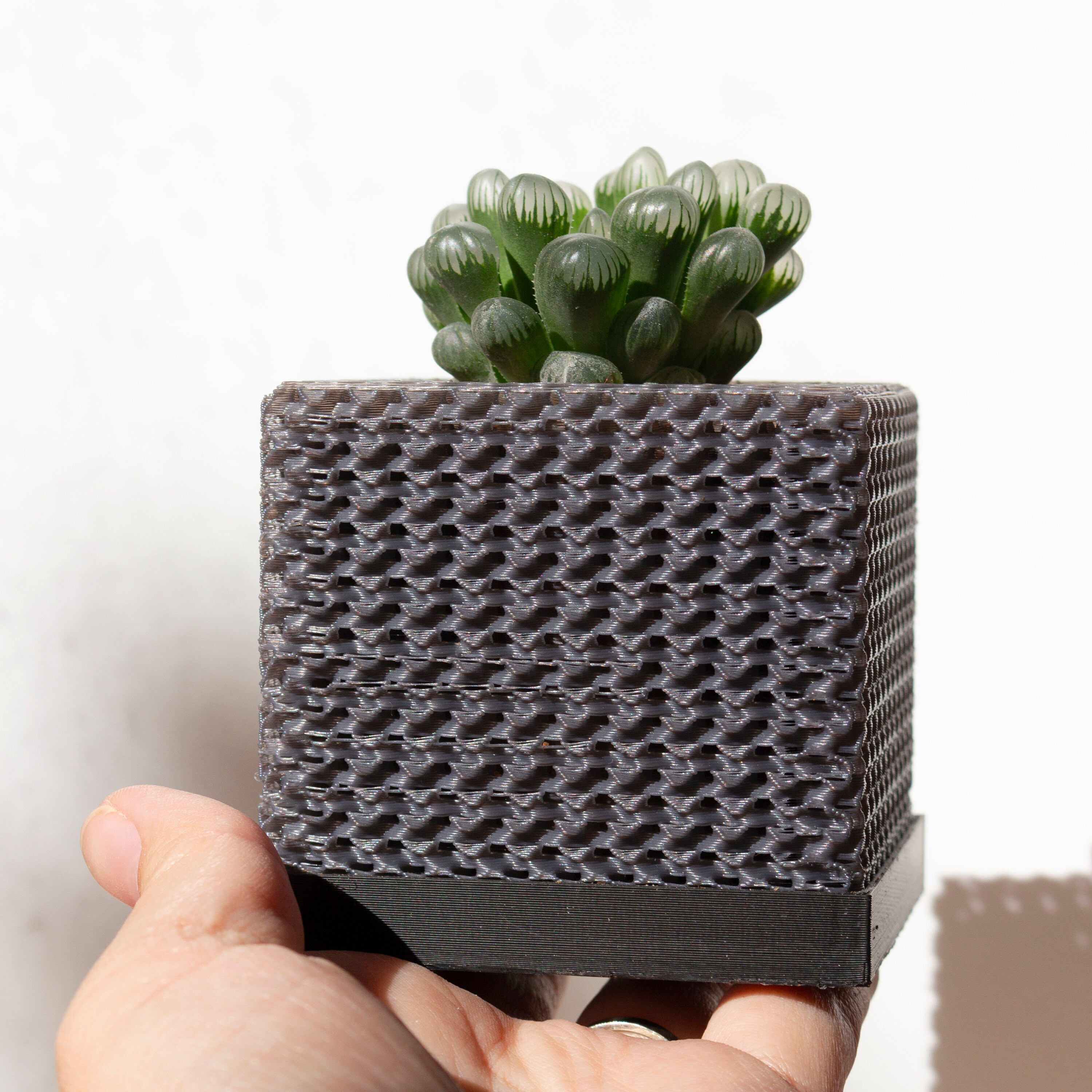 Cubelia - Modern Minimalist Cube Pot, Geometric Succulents Pot ...