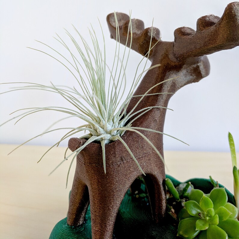 Moose Air Plant Holder and Succulent Planter, Cute Moose, Animal ...
