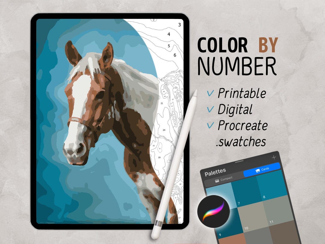 Color by Number ‘pinto Horse’ | Paint by Number | Coloring Page for ...