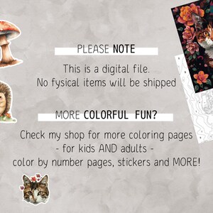 Summer Cats Coloring Book: 20 Holiday Activity Pages (PDF) - Etsy