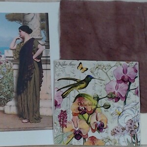 Red Onion Skin Dye Sample Pack - Etsy