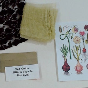 Red Onion Skin Dye Sample Pack - Etsy