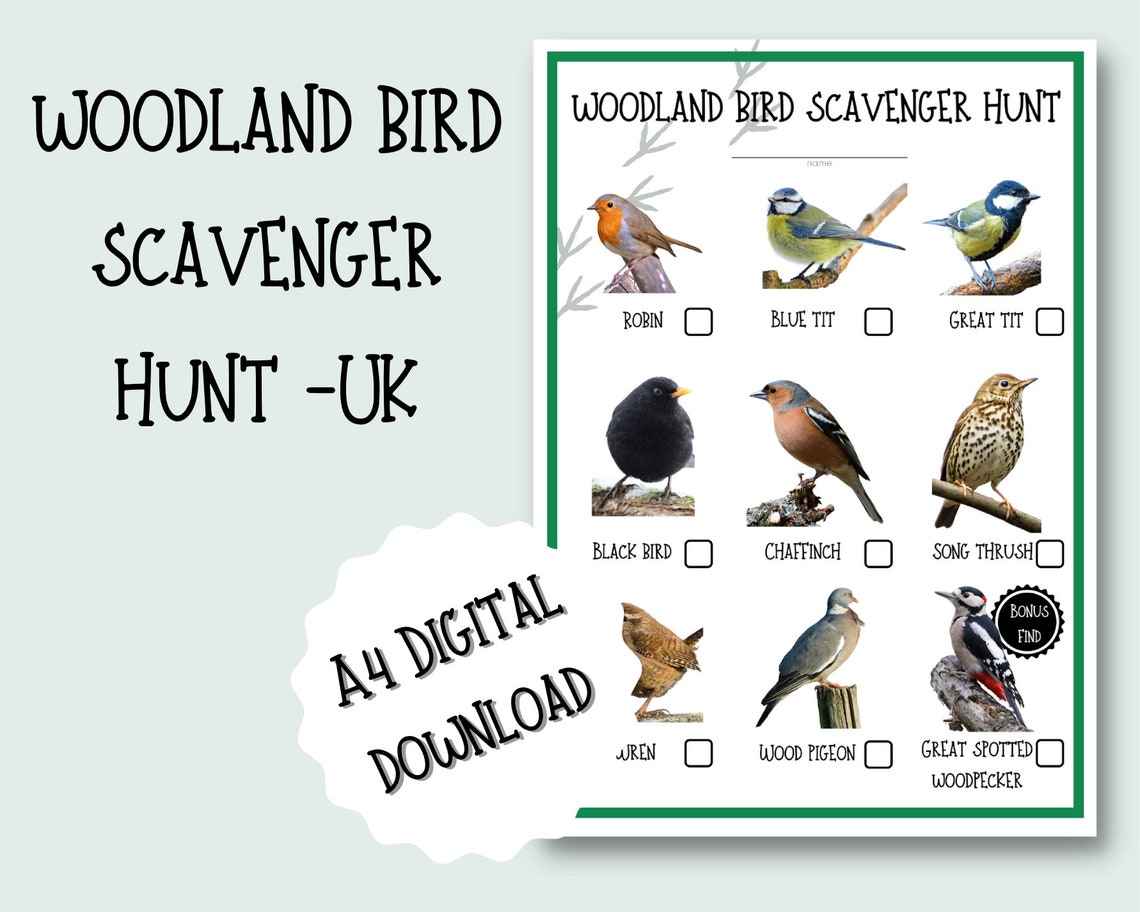 Woodland Bird Scavenger Hunt Uk, Printable, Children’s Treasure Hunt ...