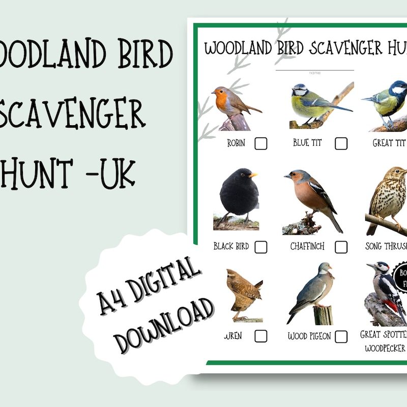 Big Bird Party Games - Etsy