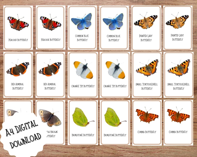 Butterfly Matching Cards, Snap Game, Printable, Montessori Education ...