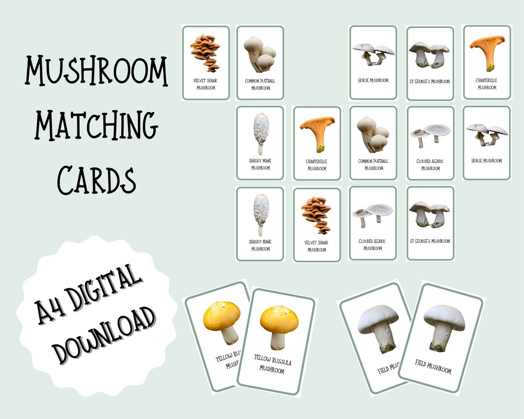 Mushroom Matching Cards, Snap Game, Printable, Montessori Education ...