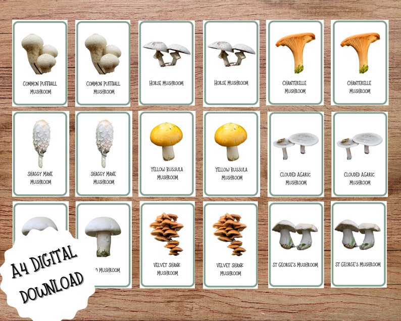 Mushroom Matching Cards, Snap Game, Printable, Montessori Education ...
