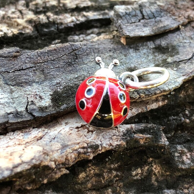 Silver Ladybug Charm Sterling Silver Ladybug Charm Lady - Etsy