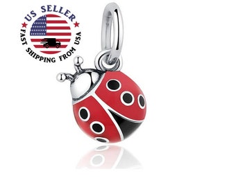 Silver Ladybug - Etsy