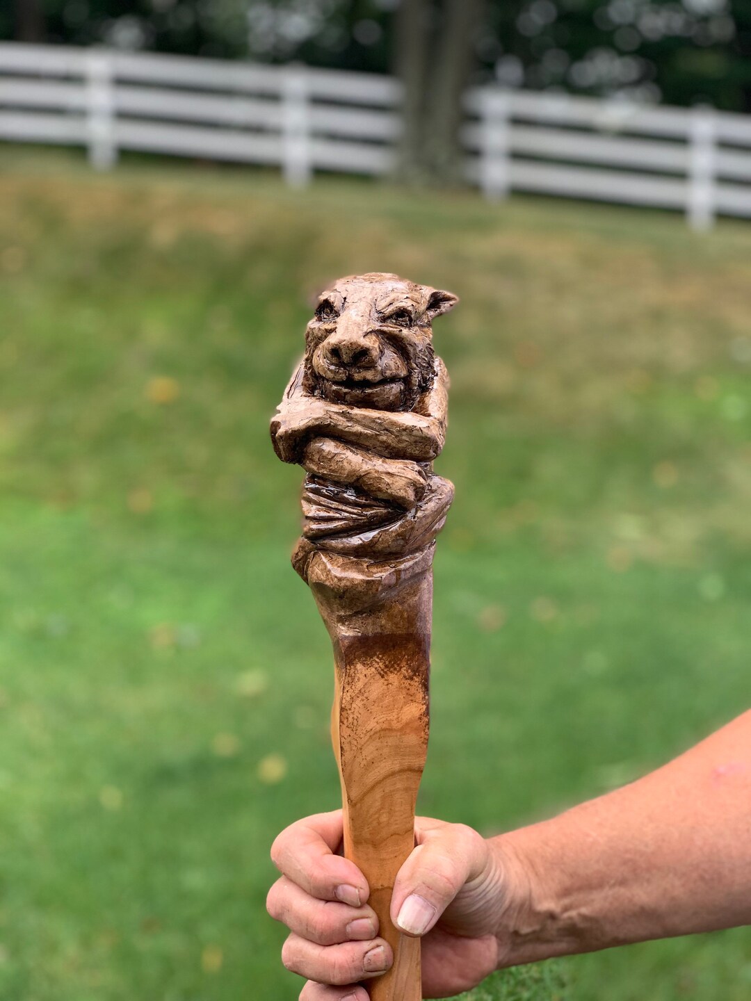 Gargoyle Walking Stick “the Protector” | Made in the USA | Hand Carved ...