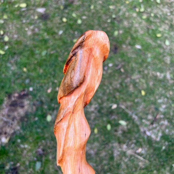 Shop Hand Carved Cane - Etsy