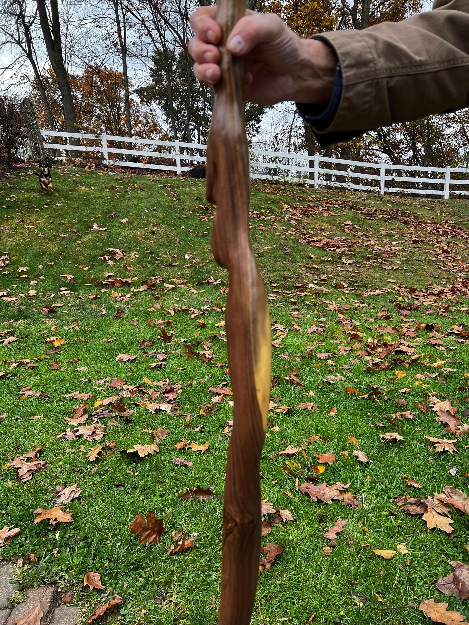 Black Walnut Walking Stick, 54”" Hand-carved, One-of-a-kind Walking ...
