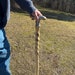 Whale Walking Stick | Made in the USA | Hand Carved Hiking Staff ...
