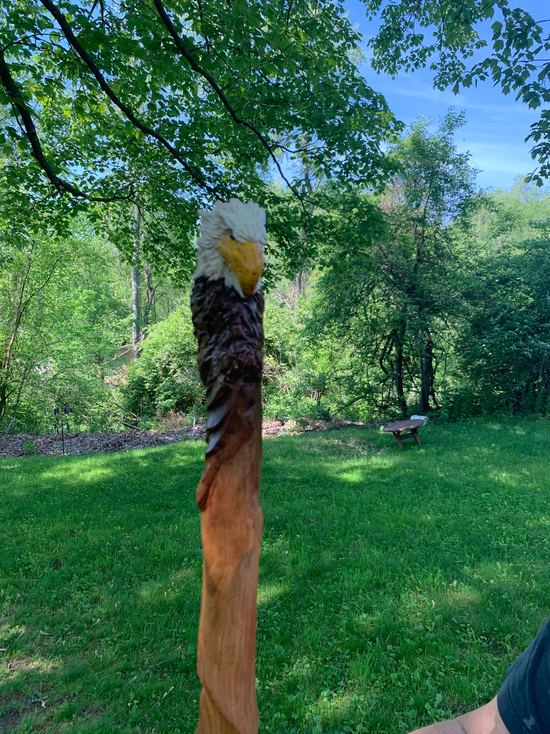 Bald Eagle Walking Stick Hand Carved Hiking Staff | Etsy